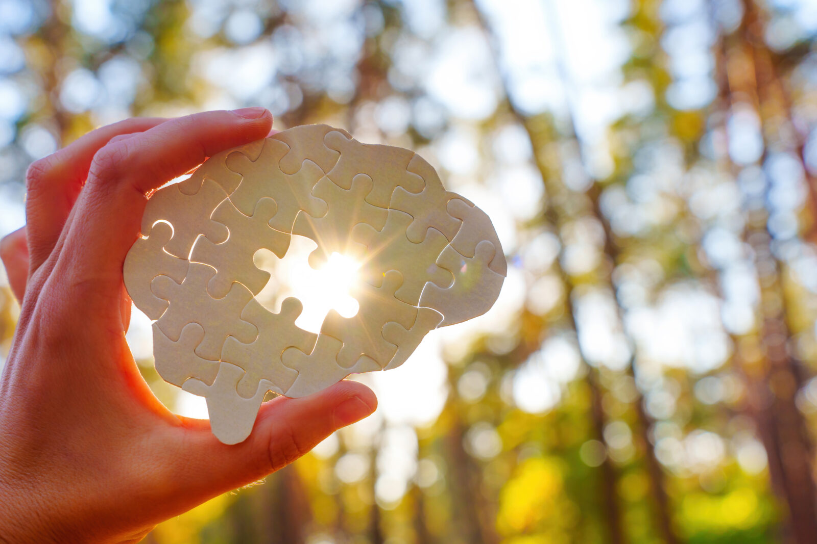 Behavioral Health Chicago | Innovative Care Therapy Services